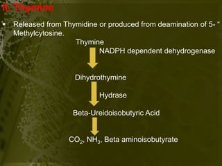 Catabolism of purine and pyrimidine synthesis | PPTX