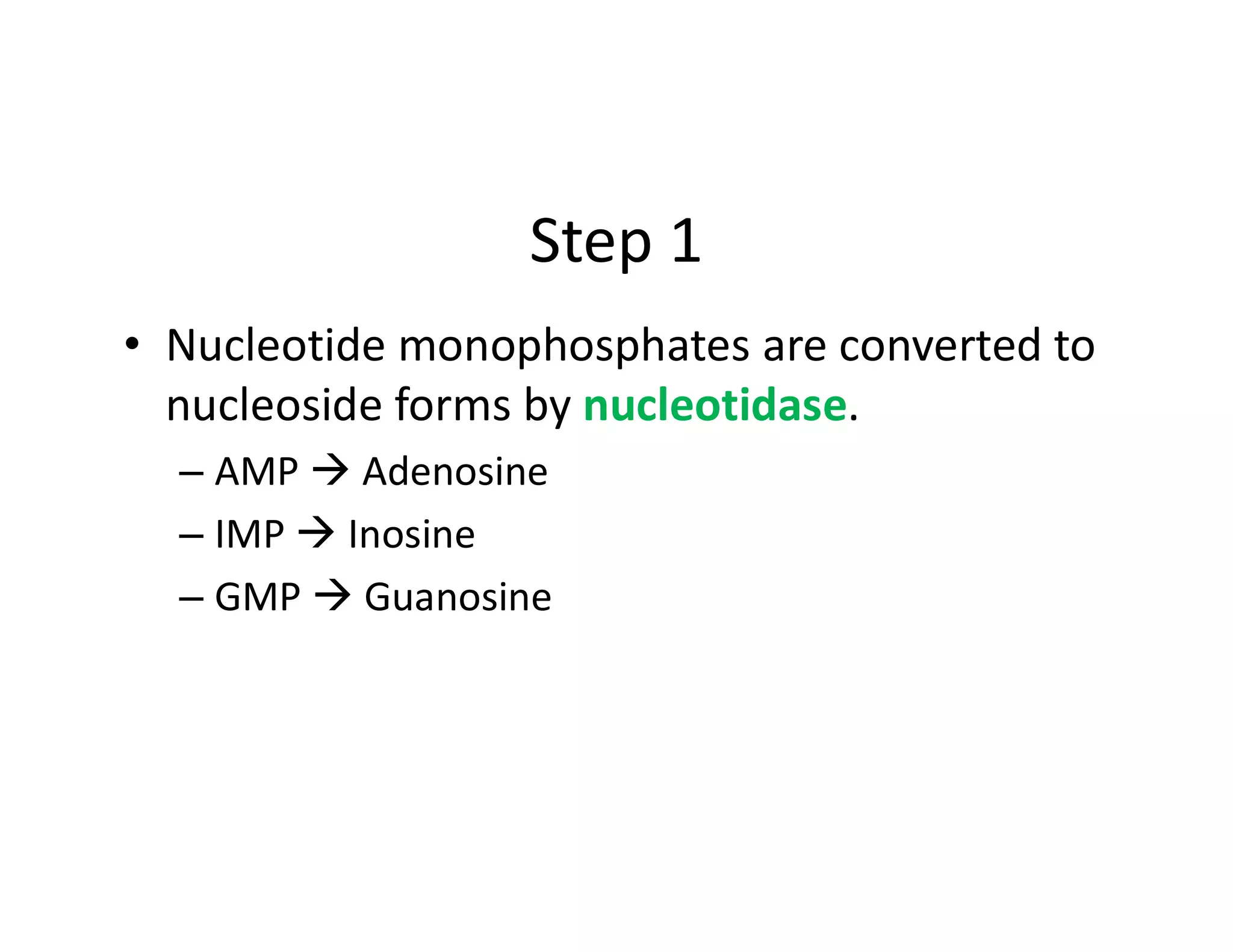 Catabolism Of Purine Nucleotides Hyperuricemia Gout Ppt