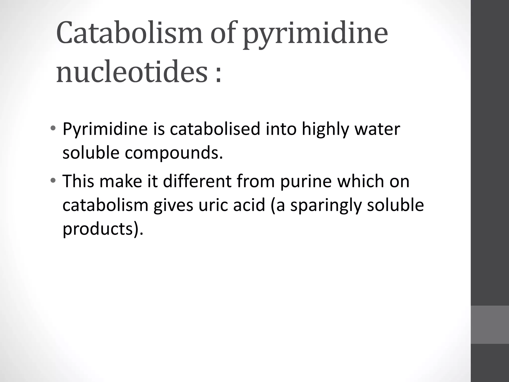 Catabolism of pyrimidine nucleotides