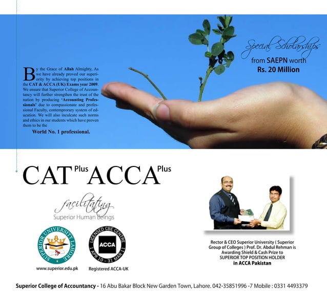 Cat acca | PPT