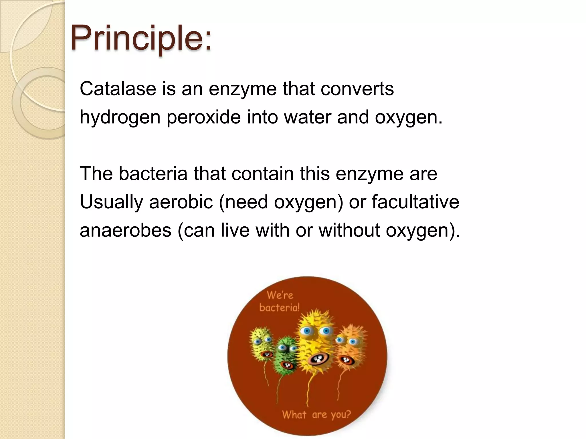 Catalase | PPTX