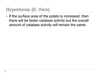 Catalase lab example | PPT