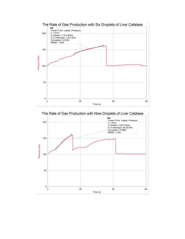 Catalase lab report | DOCX | Chemistry | Science