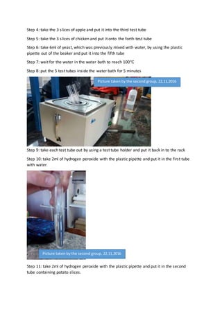 Catalase presence lab | DOCX | Biological Sciences | Science