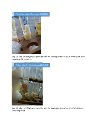 Catalase presence lab | DOCX