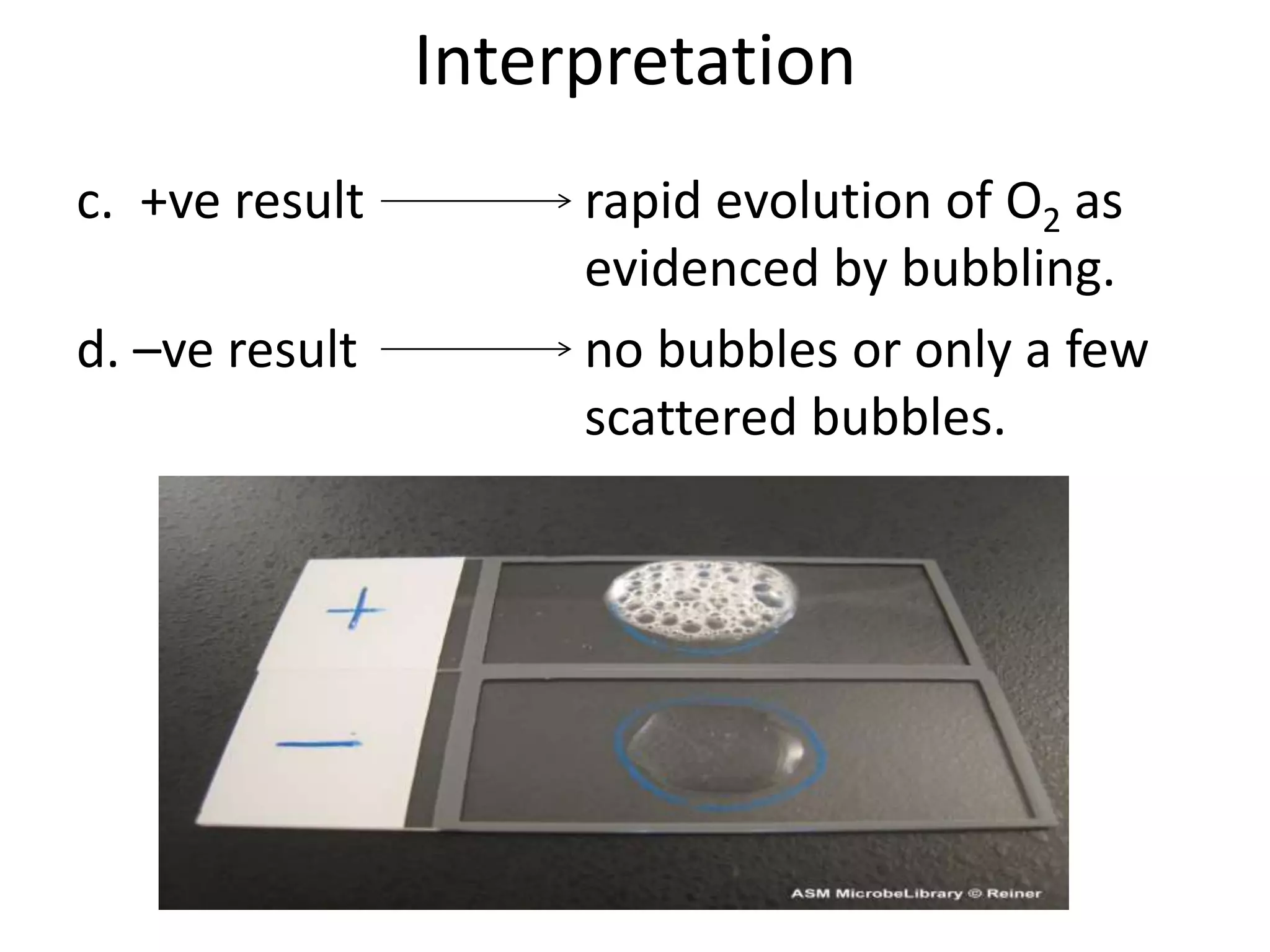 Catalase test | PPTX