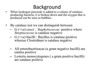 Catalase test | PPTX