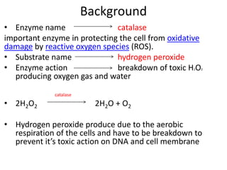 Catalase Reaction With Hydrogen Peroxide