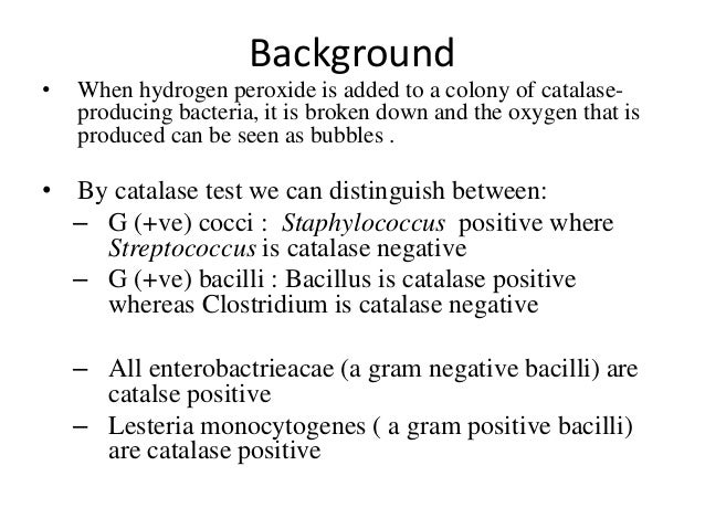 Catalase test