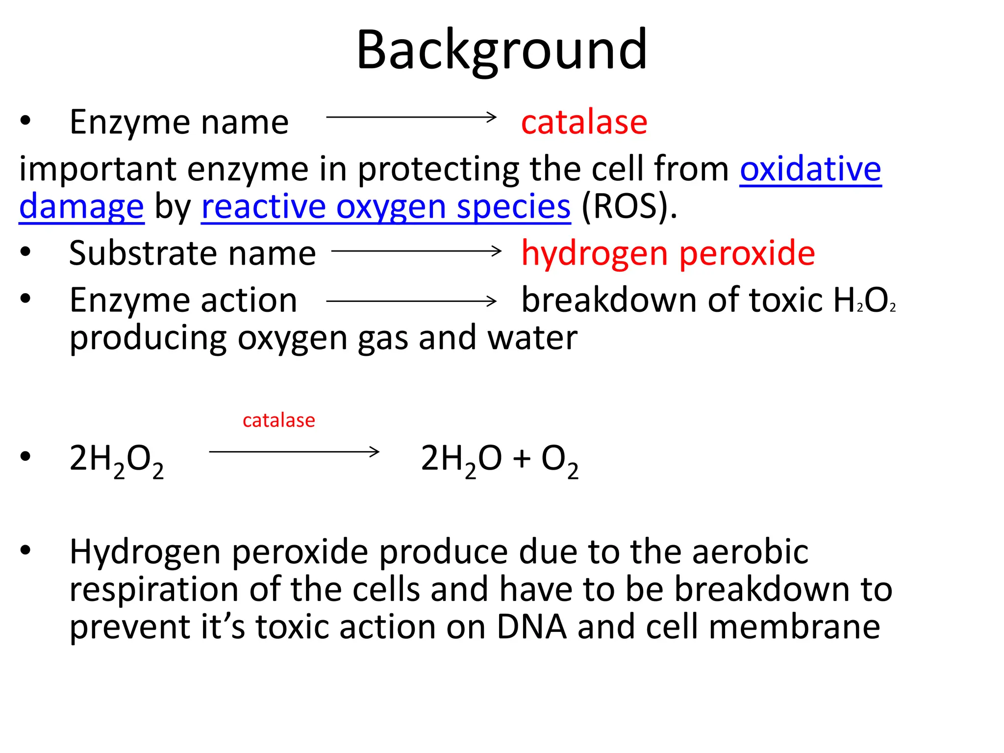 catalase test-........................................... | PPT