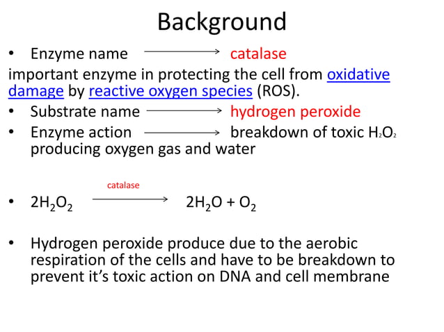 catalase test-........................................... | PPT