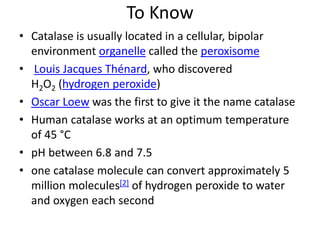 catalase test-........................................... | PPT