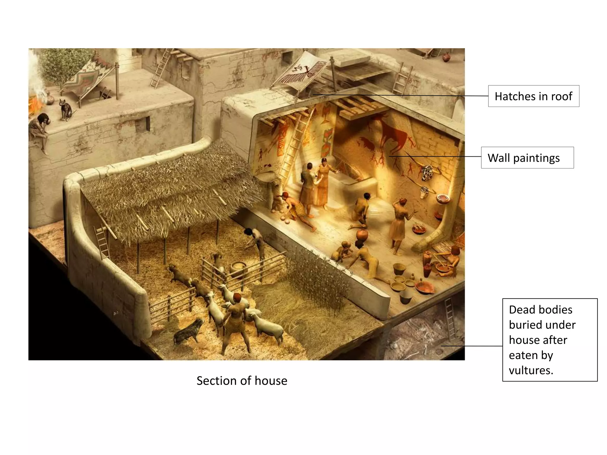 Catal Huyuk: History, Features and Settlements | PPTX