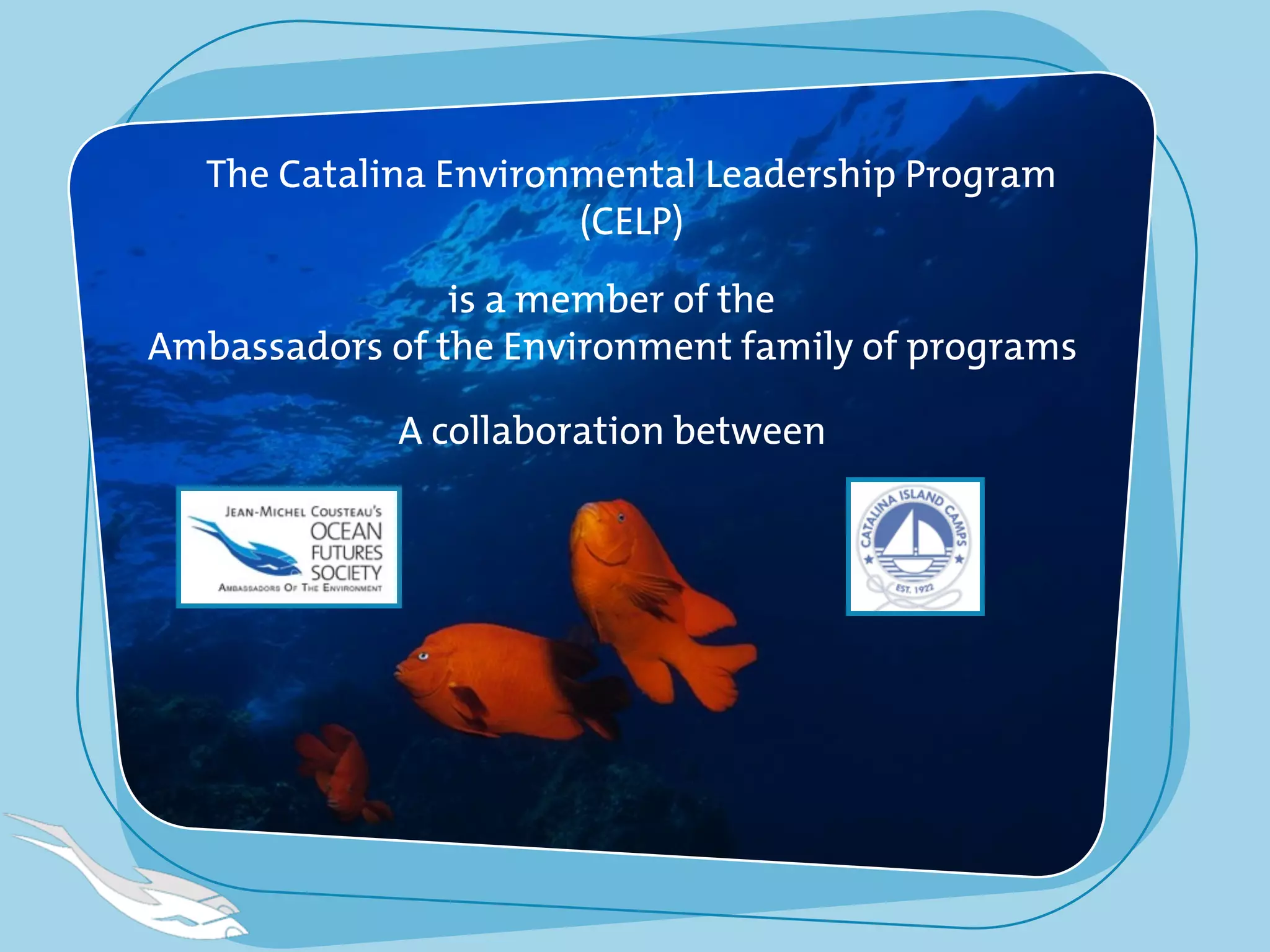 The Catalina Environmental Leadership Program (CELP) | PPT