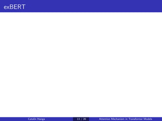 [DSC Europe 23] Catalin Hanga - Unveiling the Unseen: Visualizing the Attention Mechanism in ...