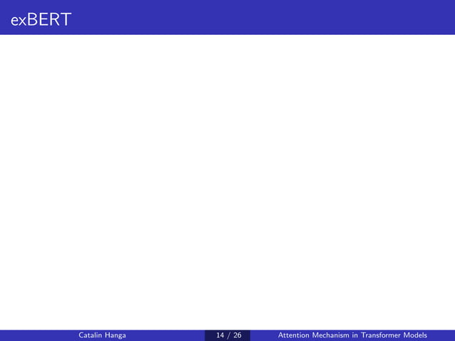 [DSC Europe 23] Catalin Hanga - Unveiling the Unseen: Visualizing the Attention Mechanism in ...