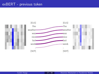 [DSC Europe 23] Catalin Hanga - Unveiling the Unseen: Visualizing the Attention Mechanism in ...