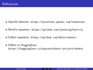 [DSC Europe 23] Catalin Hanga - Unveiling the Unseen: Visualizing the Attention Mechanism in ...