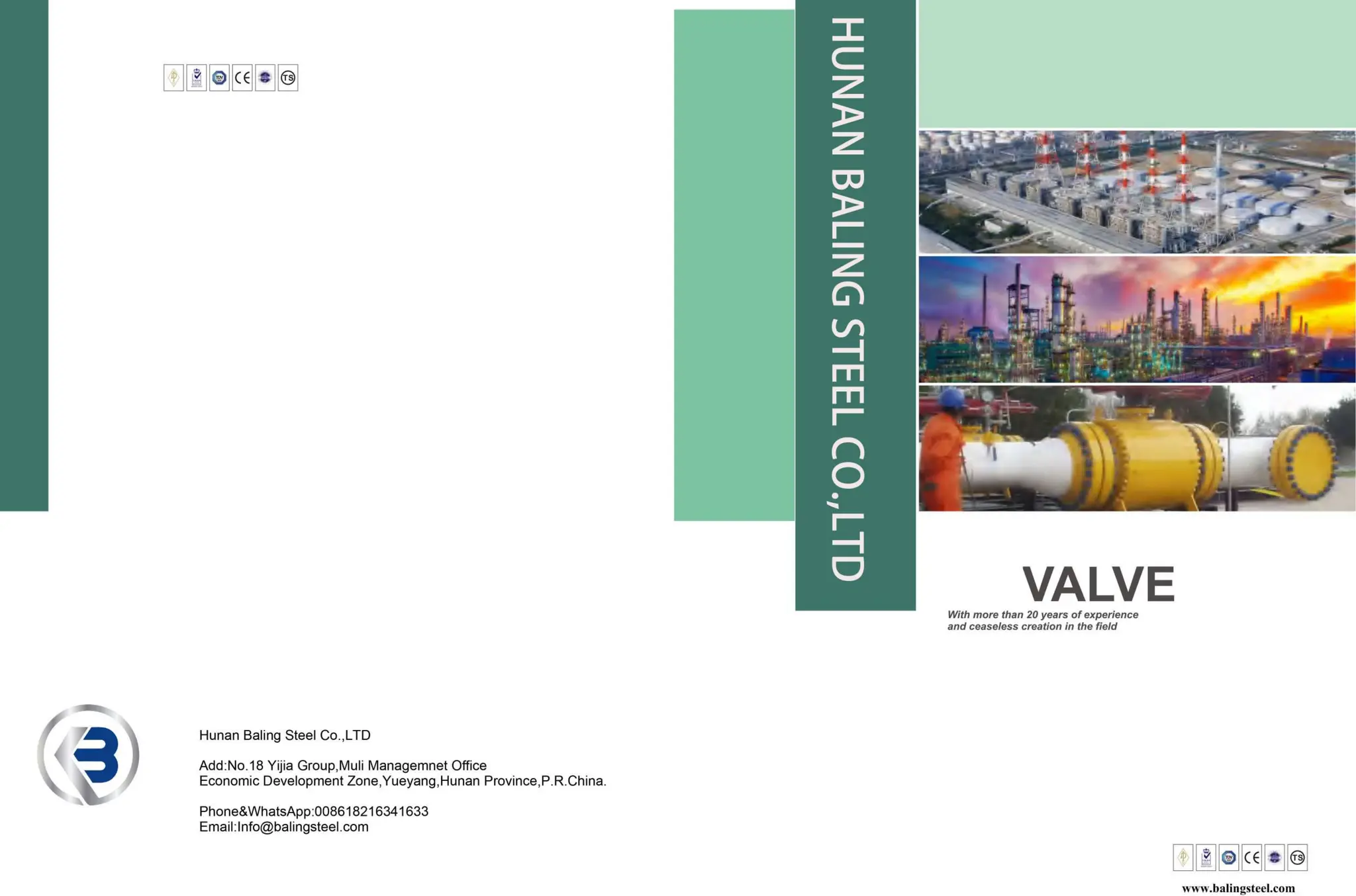 CATALOG BOOK-Baling Steel-STEEL VALVES.pdf
