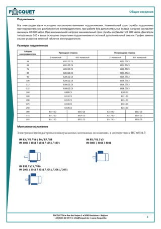 Низковольтные электродвигатели IE2 / IE3 Focquet | PDF