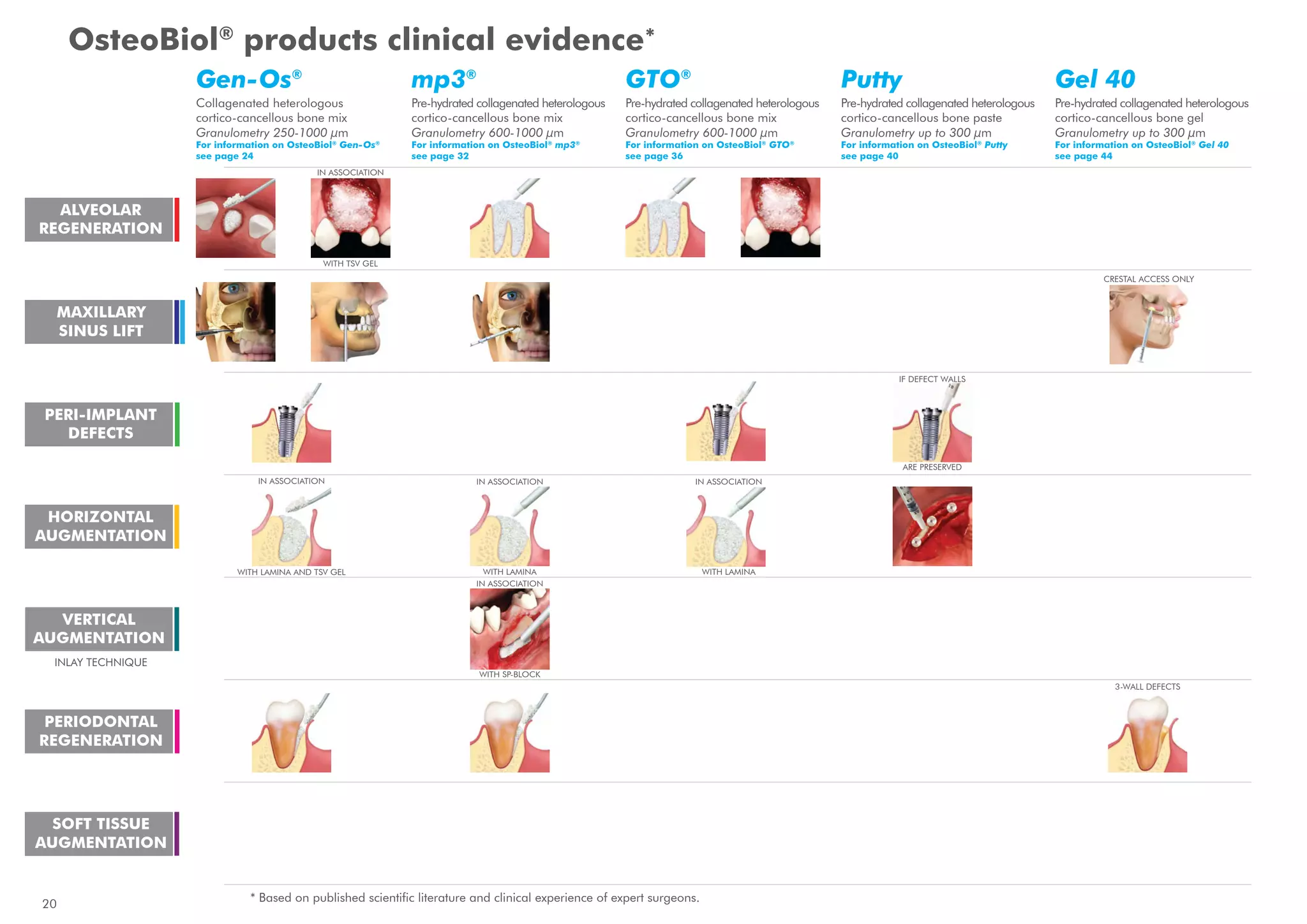 Catalog Osteobiol 2020 EN | PDF
