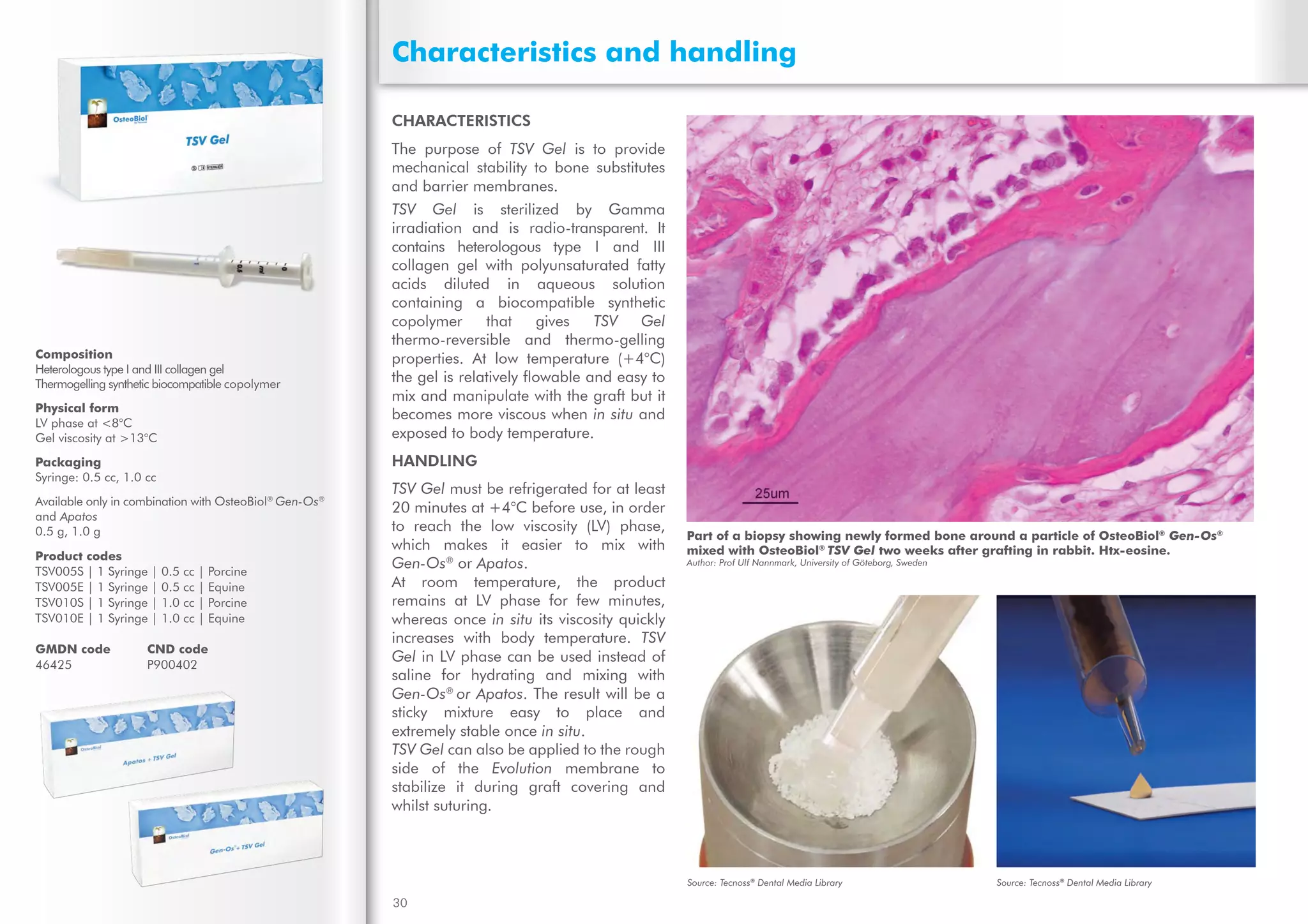 Catalog Osteobiol 2020 EN | PDF