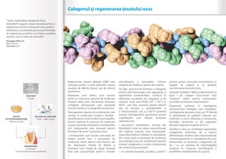 Minicatalog OsteoBiol Tecnoss 2021 | PDF