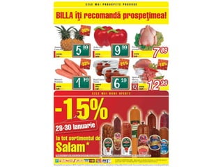 Catalog billa | PPTX