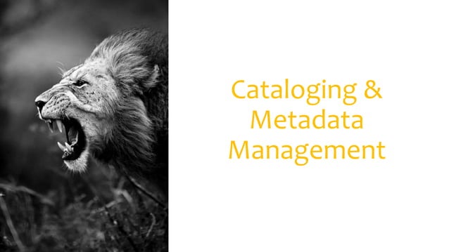 Cataloging and Metadata Management | PPT
