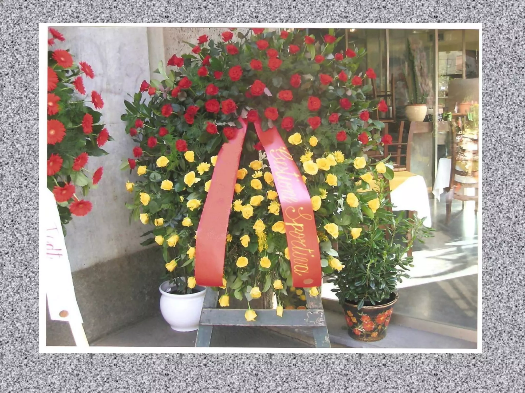 Catalogo fioreria Mercandelli | PPT