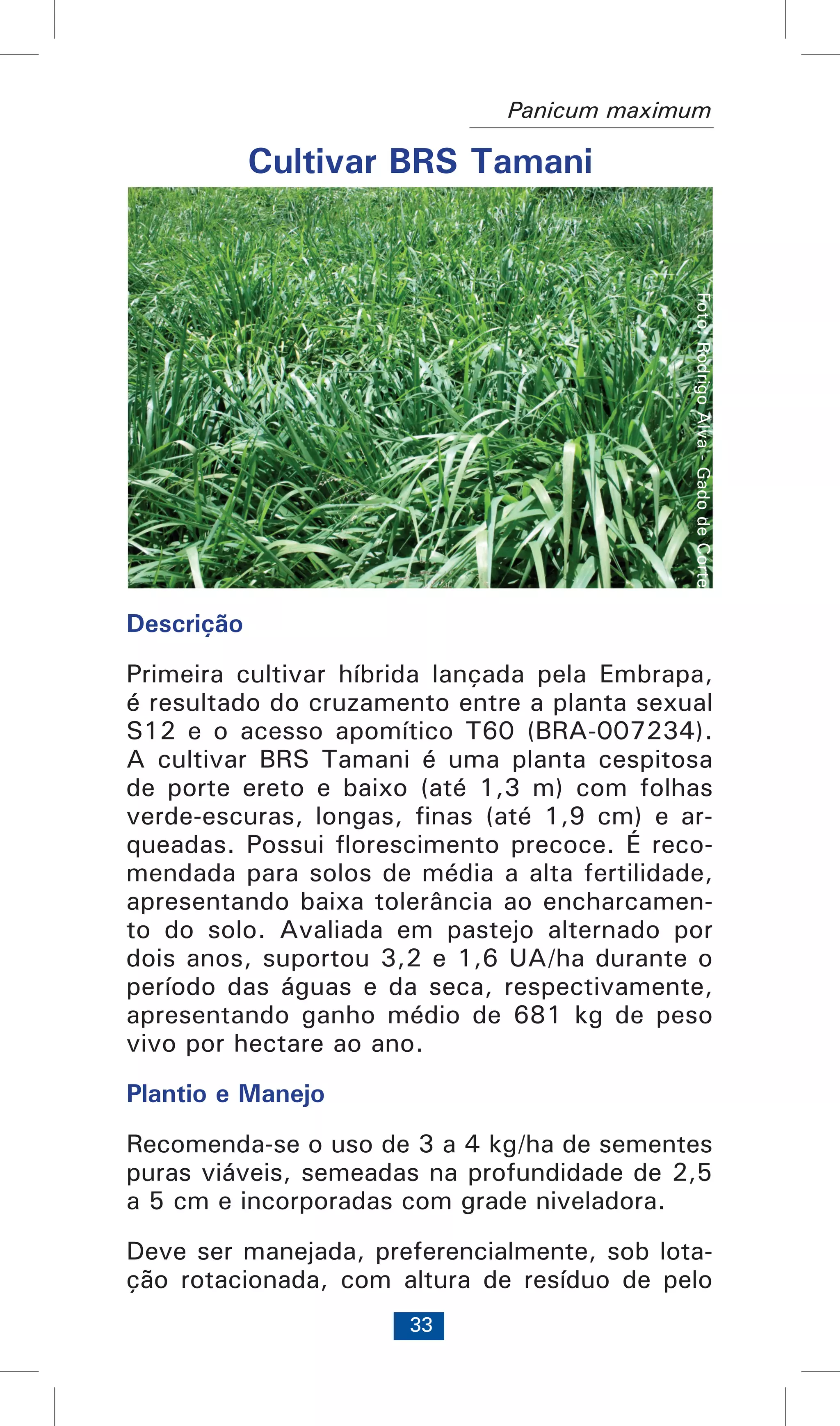 Catálogo de forrageiras recomendadas pela Embrapa | PDF