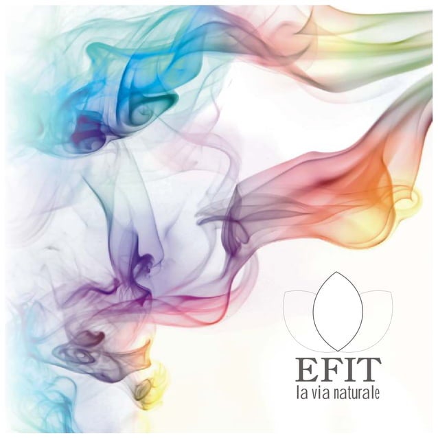 Efit Official Brochure | PDF