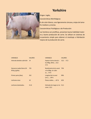 Catalogo de cerdos | PDF