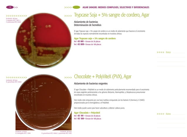 bioMérieux - Catalogo de placas y medios de cultivo | PDF