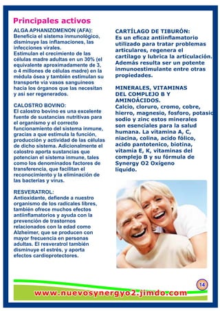 CATALOGO DE PRODUCTOS SYNERGY O2 | PDF
