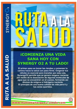 CATALOGO DE PRODUCTOS SYNERGY O2 | PDF