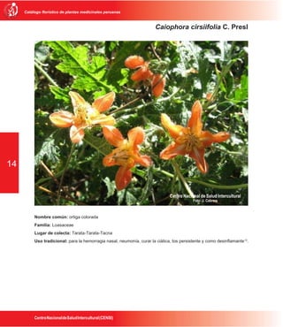Catalogo floristico plantas_medicinales | PDF