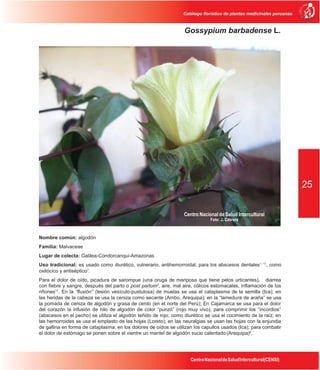 Catalogo floristico plantas_medicinales | PDF