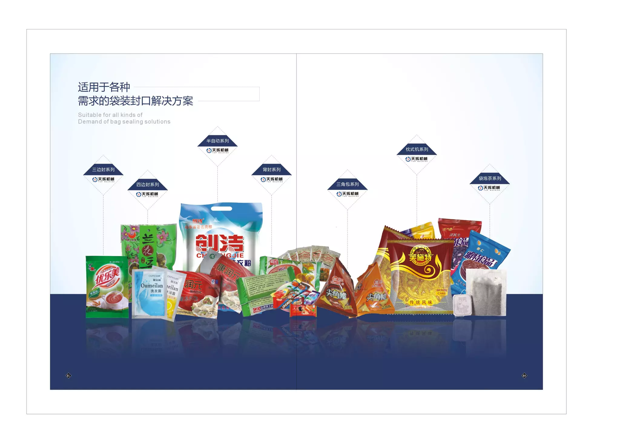 CATALOG OF PACKING MACHINE.pdf