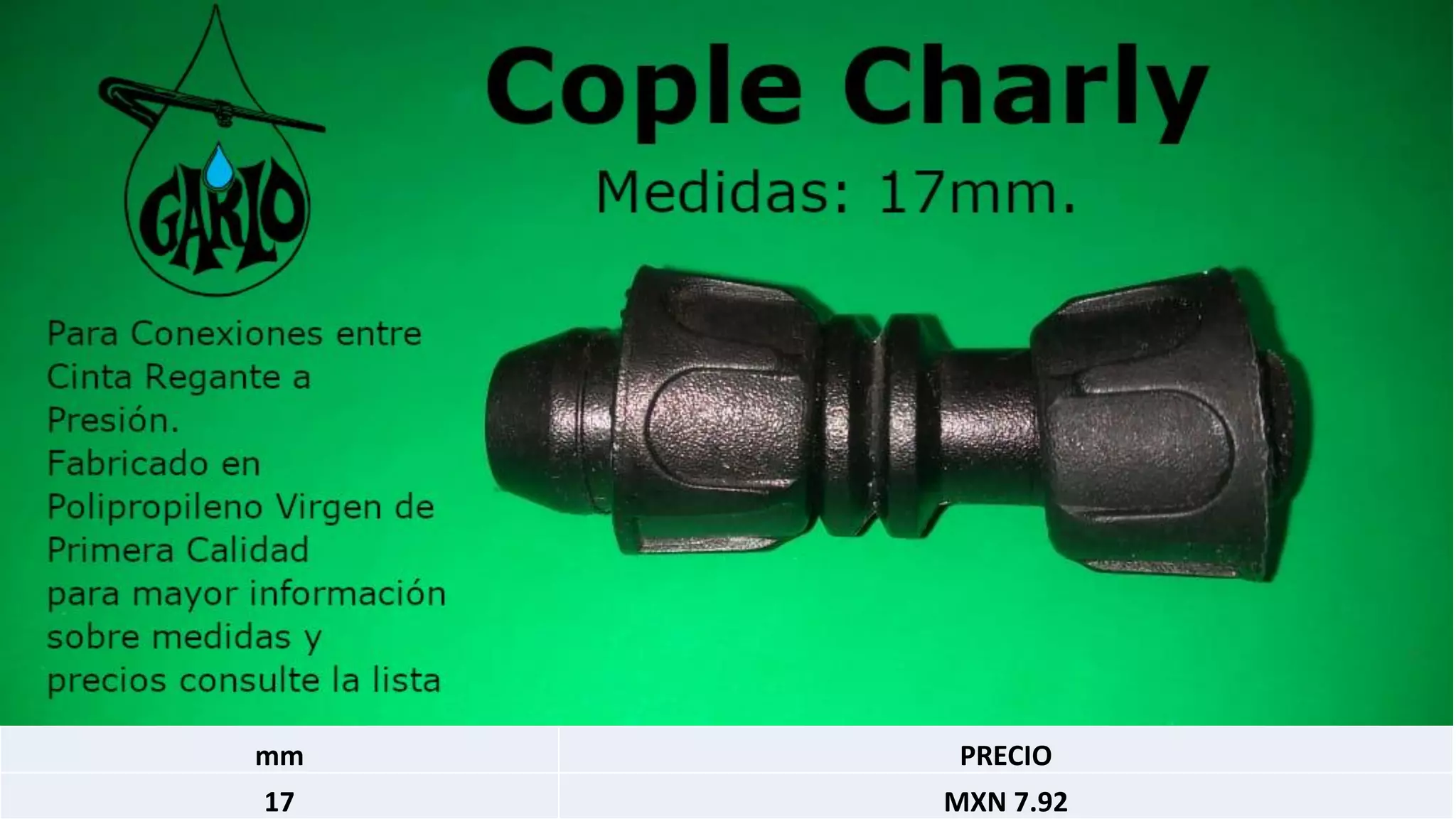 Catalogo garlo junio 2020 | PDF