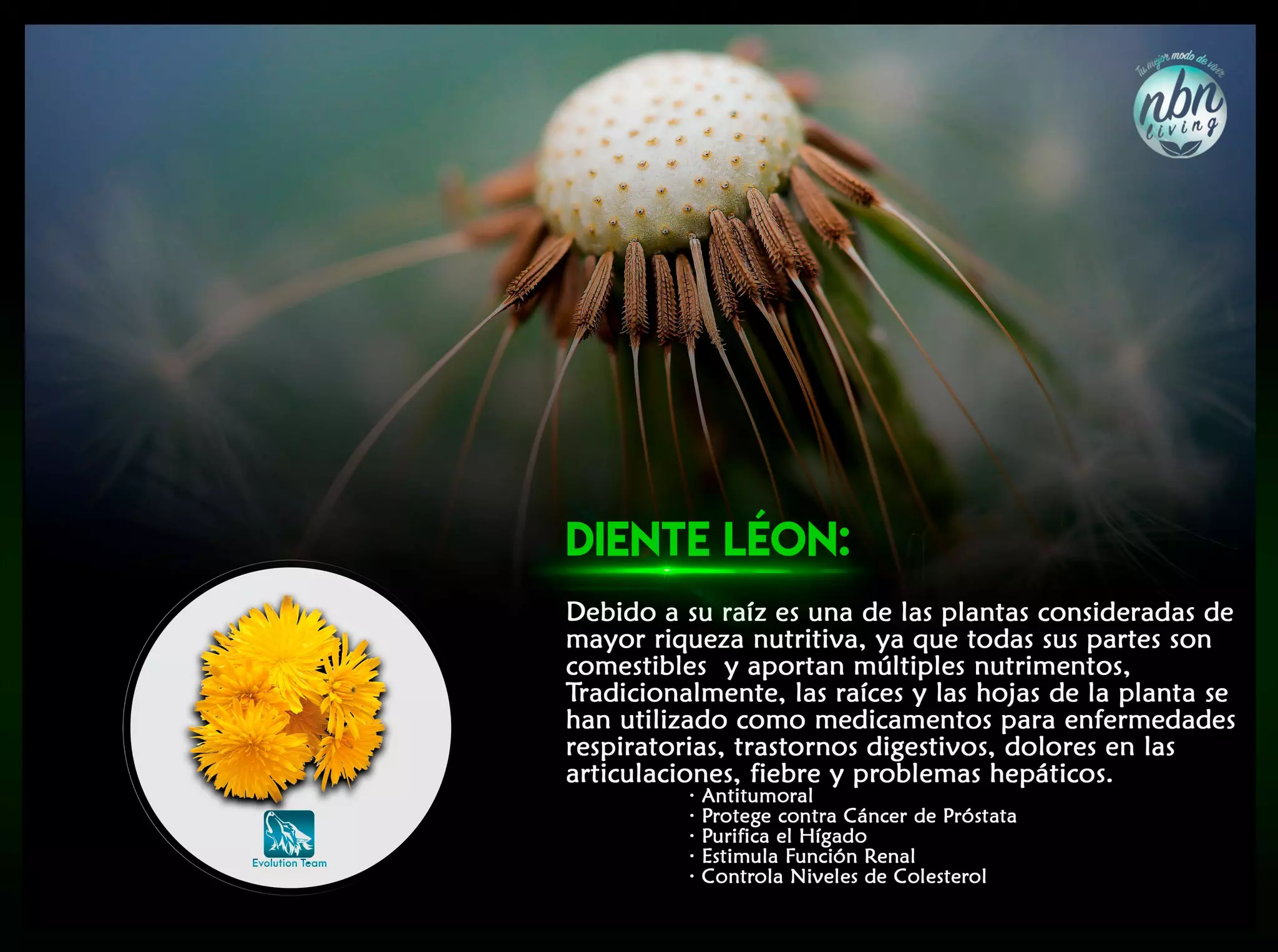 Catalogo genoxidil evolution team | PDF | Pharmaceutical Industry ...