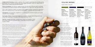 Catalogo ita web | PDF