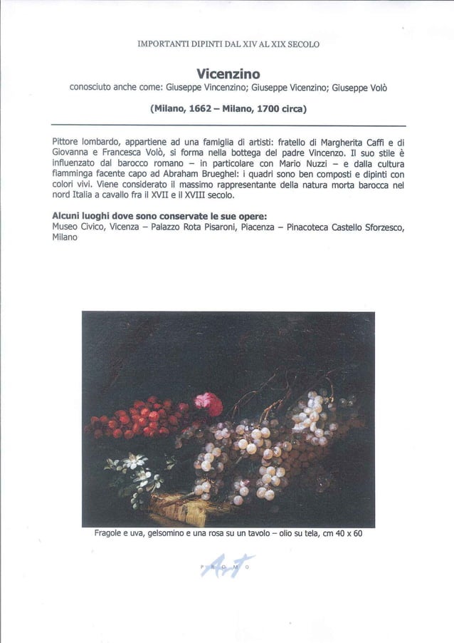 Catalogo "The Selection" | PDF