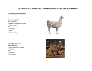 catalogo DE ANIMALES Y PLANTAS ANTIGUAS 1 | PDF