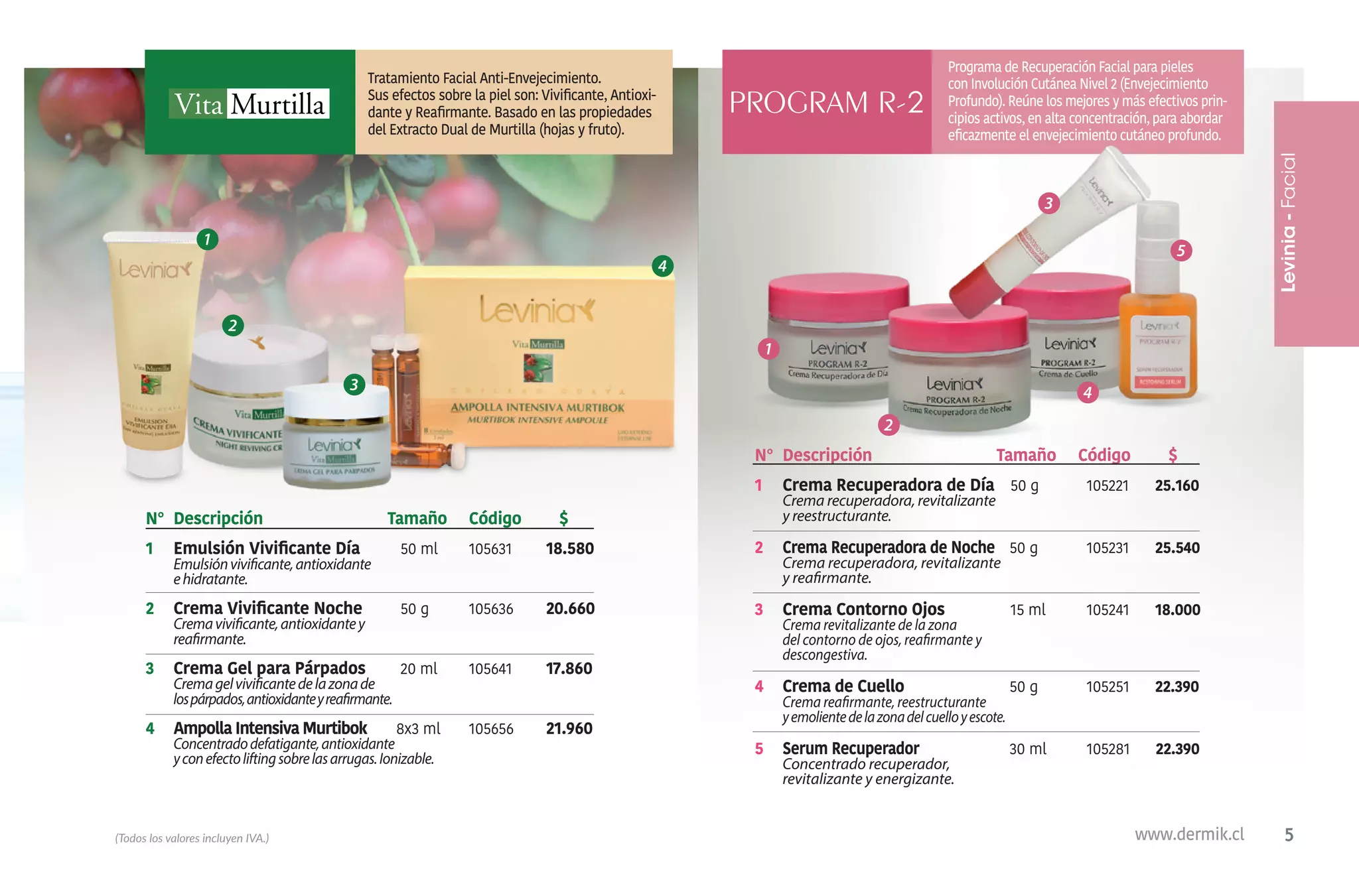 Catalogo Publico DERMIK | PDF