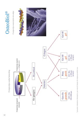 Catalog OsteoBiol - biomateriale pentru stomatologie | PDF