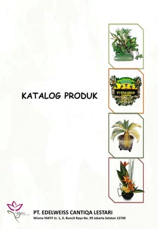 Catalogue Tanaman Hias. | PPTX