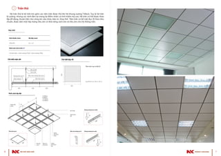 Catalogue 2020 nhat khoi | PDF