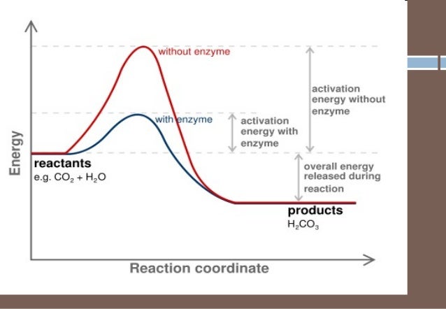 Catalyst & Catalysis