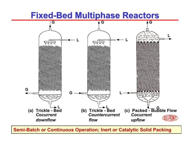 Catalyrtic Reactors PPT.pdf | Chemistry | Science